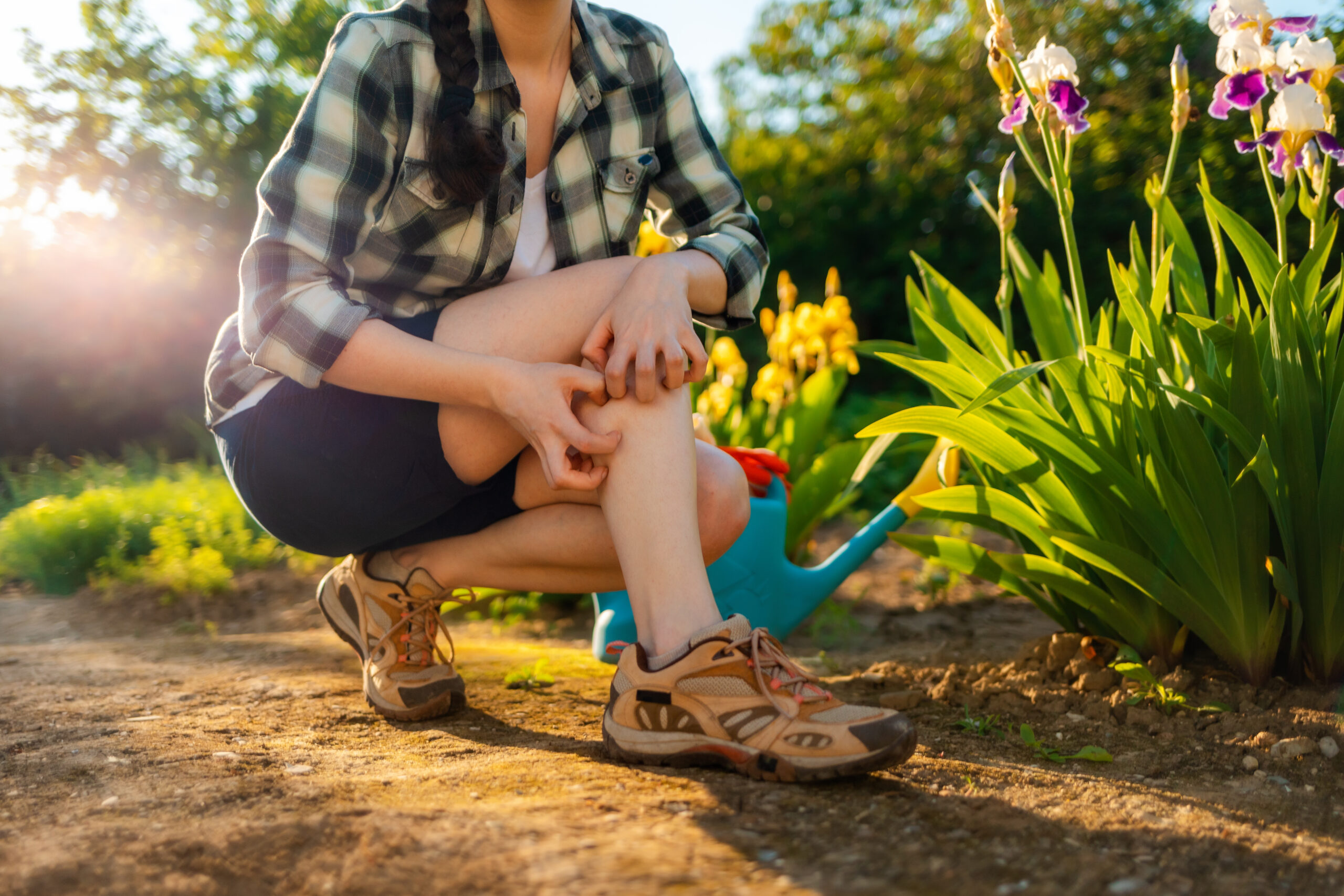 Bug Bites & Rashes: How to Stay Safe Outside - Warner Hospital